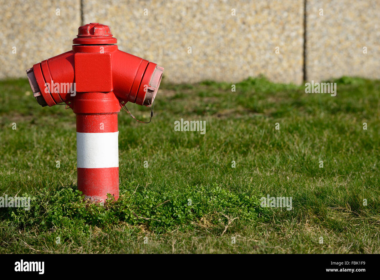 Red fireplug in a garden and grass Stock Photo - Alamy