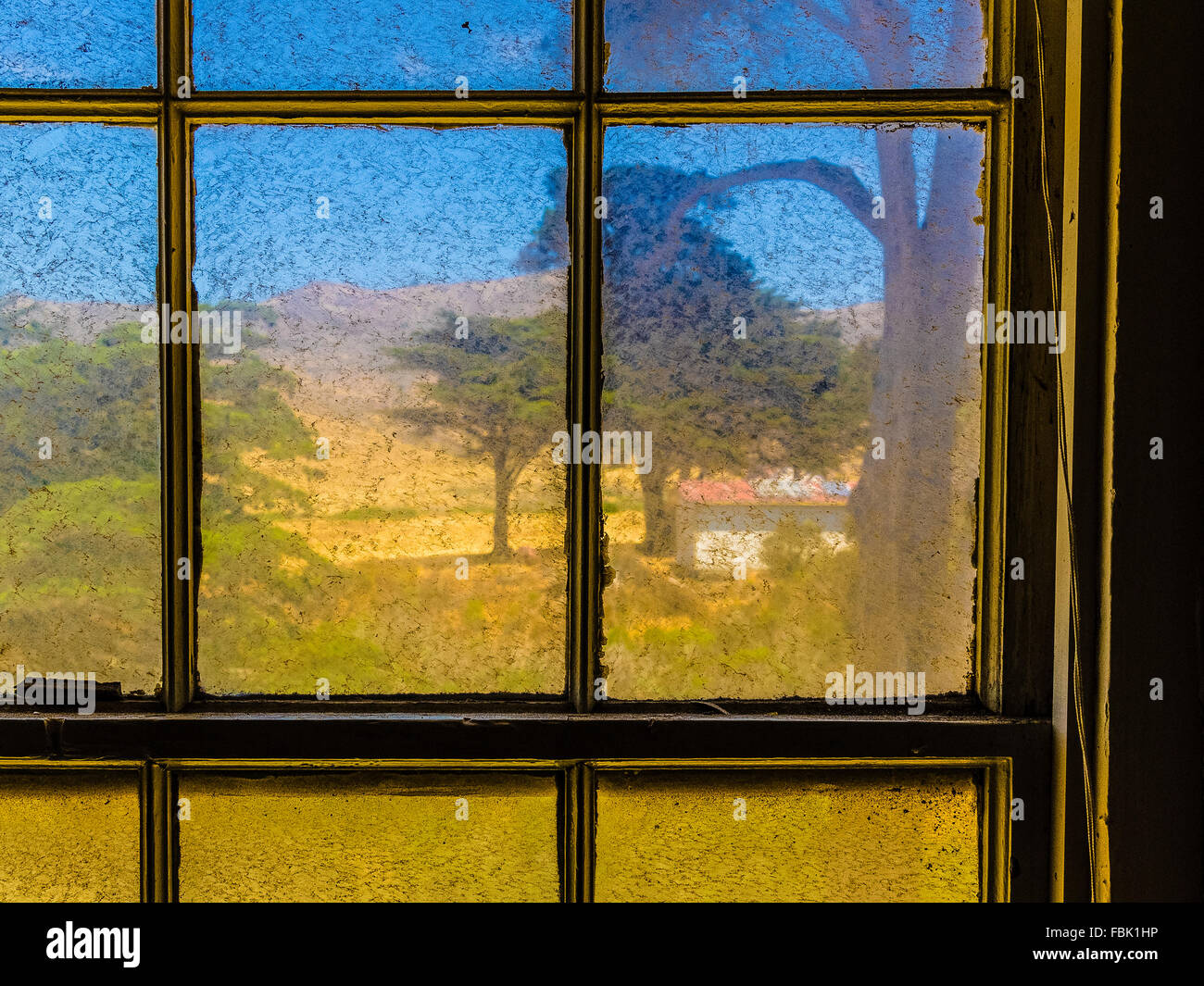 View of trees out of old window hi-res stock photography and images - Alamy