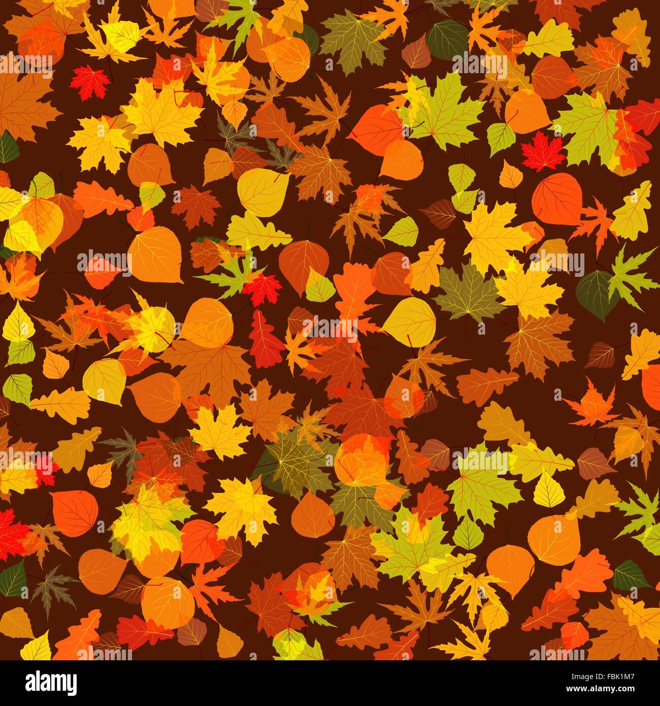 Poplar autumn leaves on Stock Vector Images - Alamy