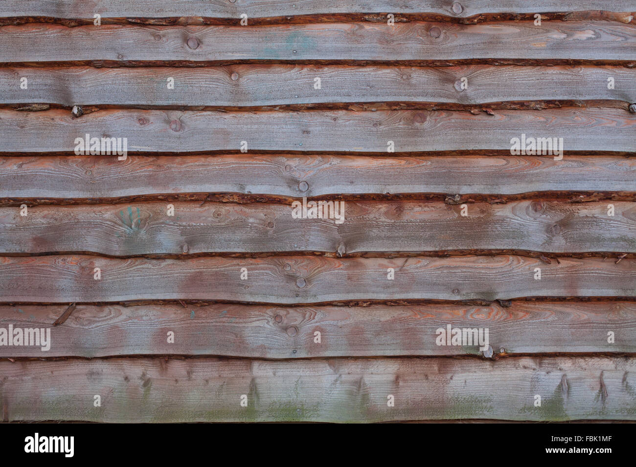 Wood lap cladding on a traditional oak frame building in Warren Woods ...