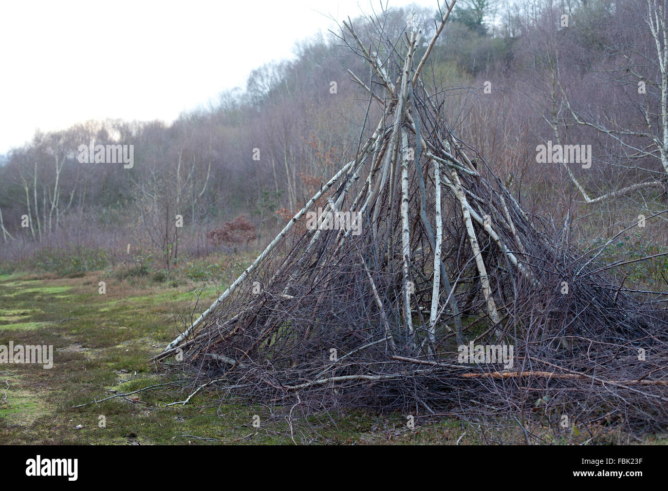 Wigwam bark hi-res stock photography and images - Alamy