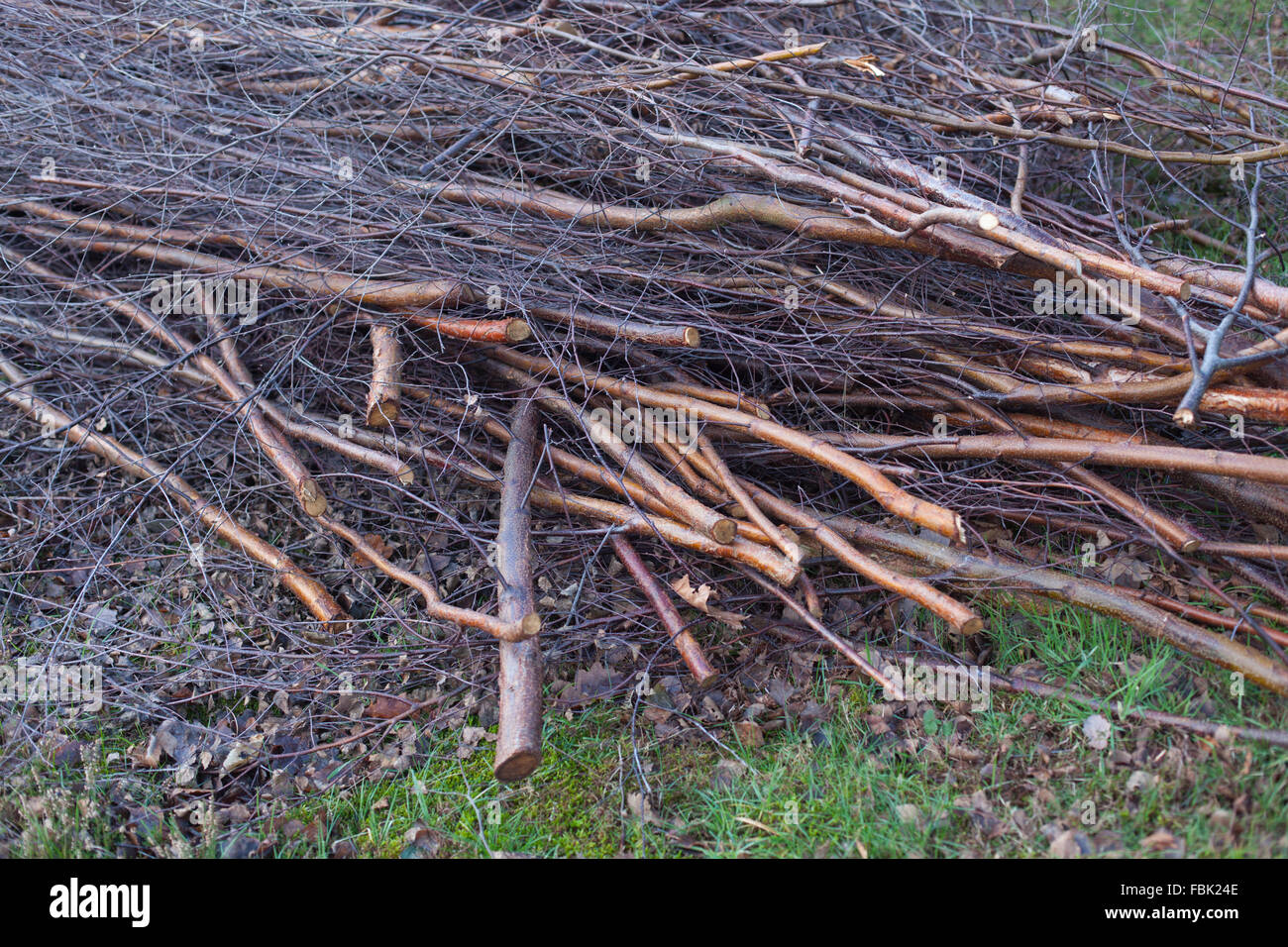 Bodfari High Resolution Stock Photography and Images - Alamy