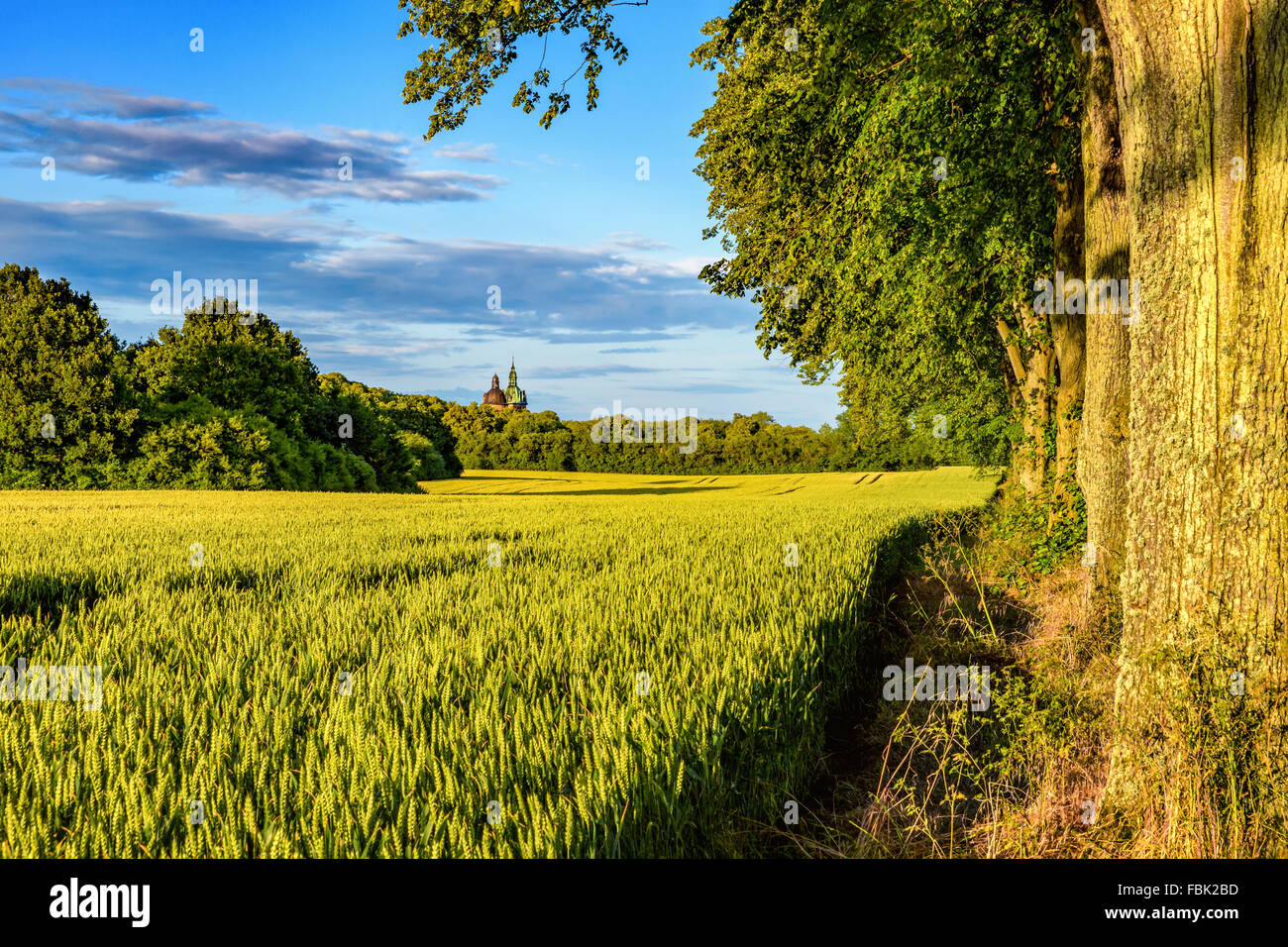 Agriculture crops denmark hi-res stock photography and images - Alamy