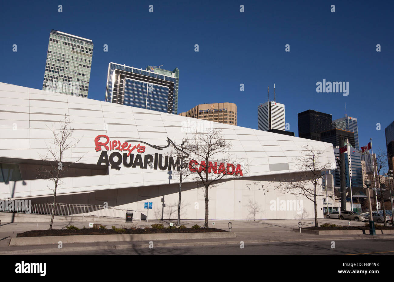 Ripley’s aquarium of canada hi-res stock photography and images - Alamy