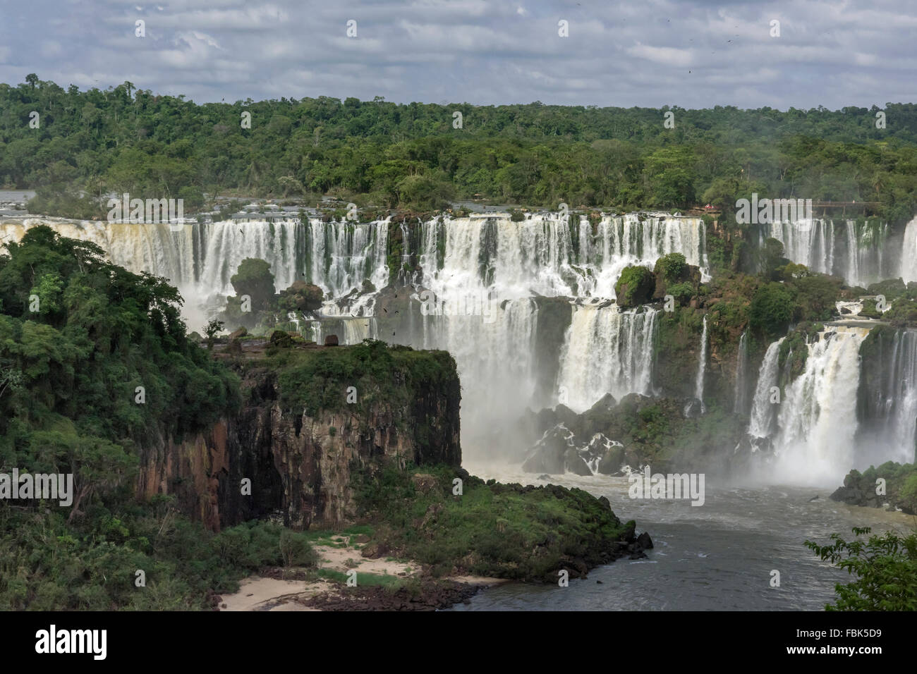 Great dusky swifts (Cypseloides senex) flying around St Martin falls ...