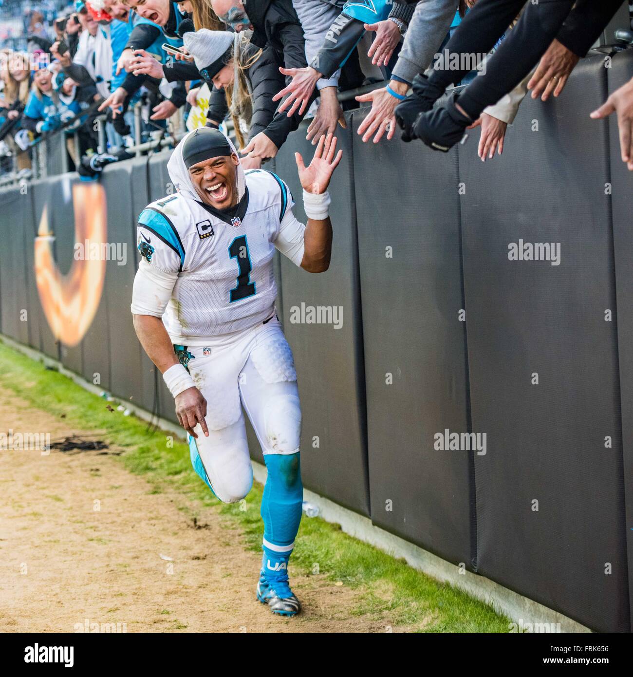 Charlotte, North Carolina, USA. 17th Jan, 2016. Carolina Panthers ...