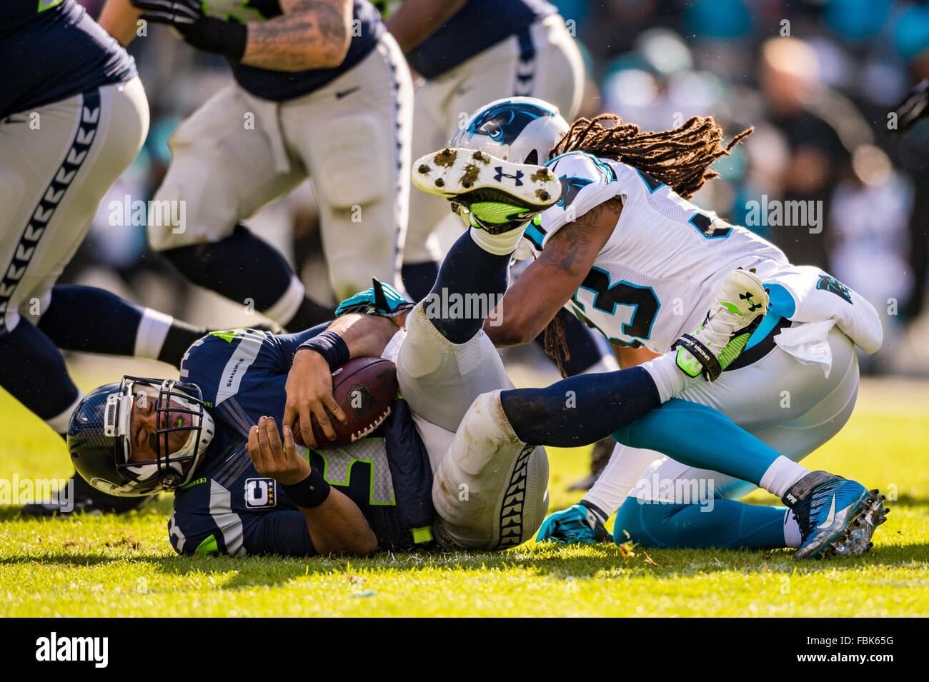 Charlotte, North Carolina, USA. 17th Jan, 2016. Carolina Panthers ...