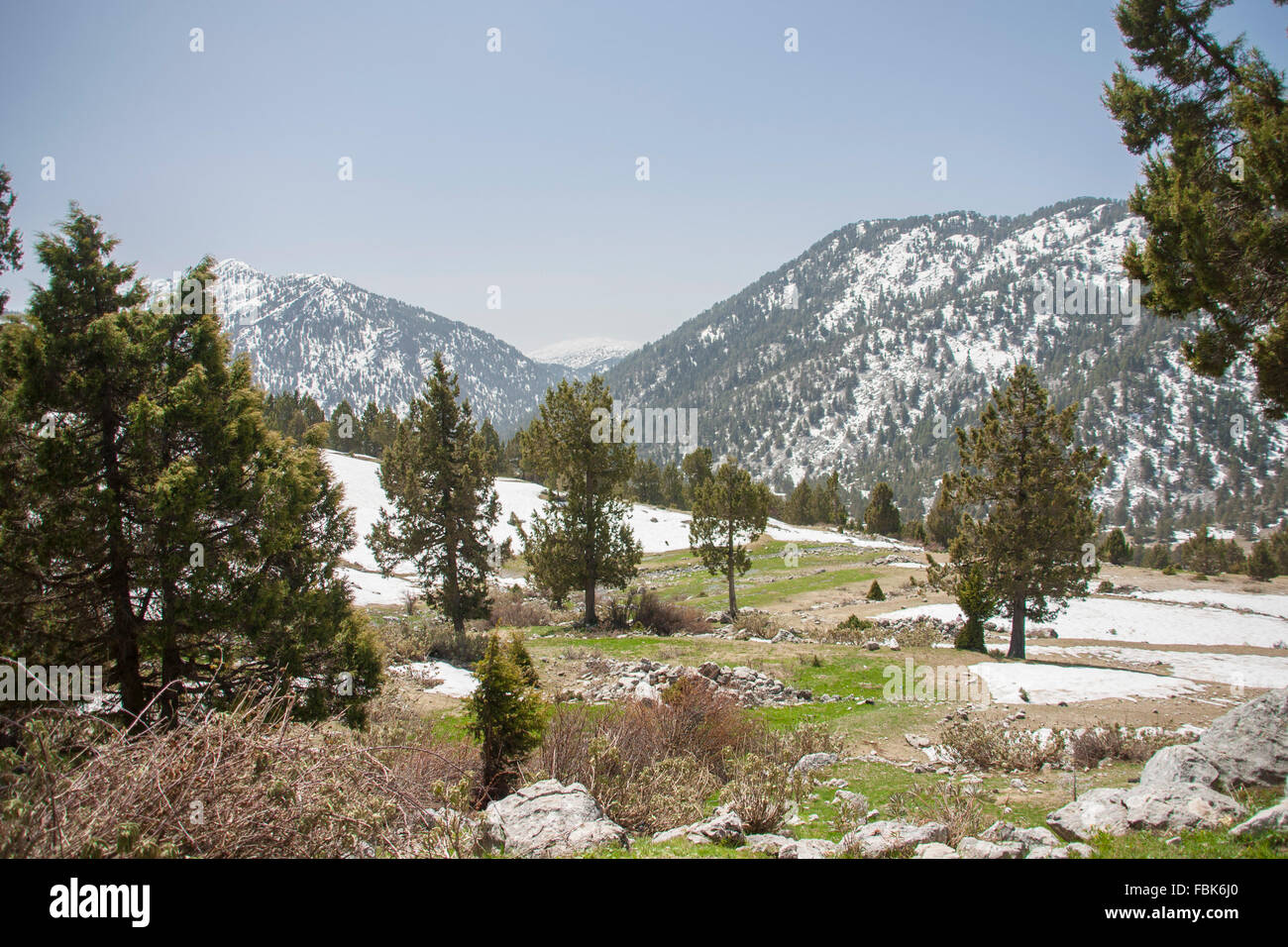 Snowy valley mountains Mountains and forest. Anatolia, Turkey Snow ...