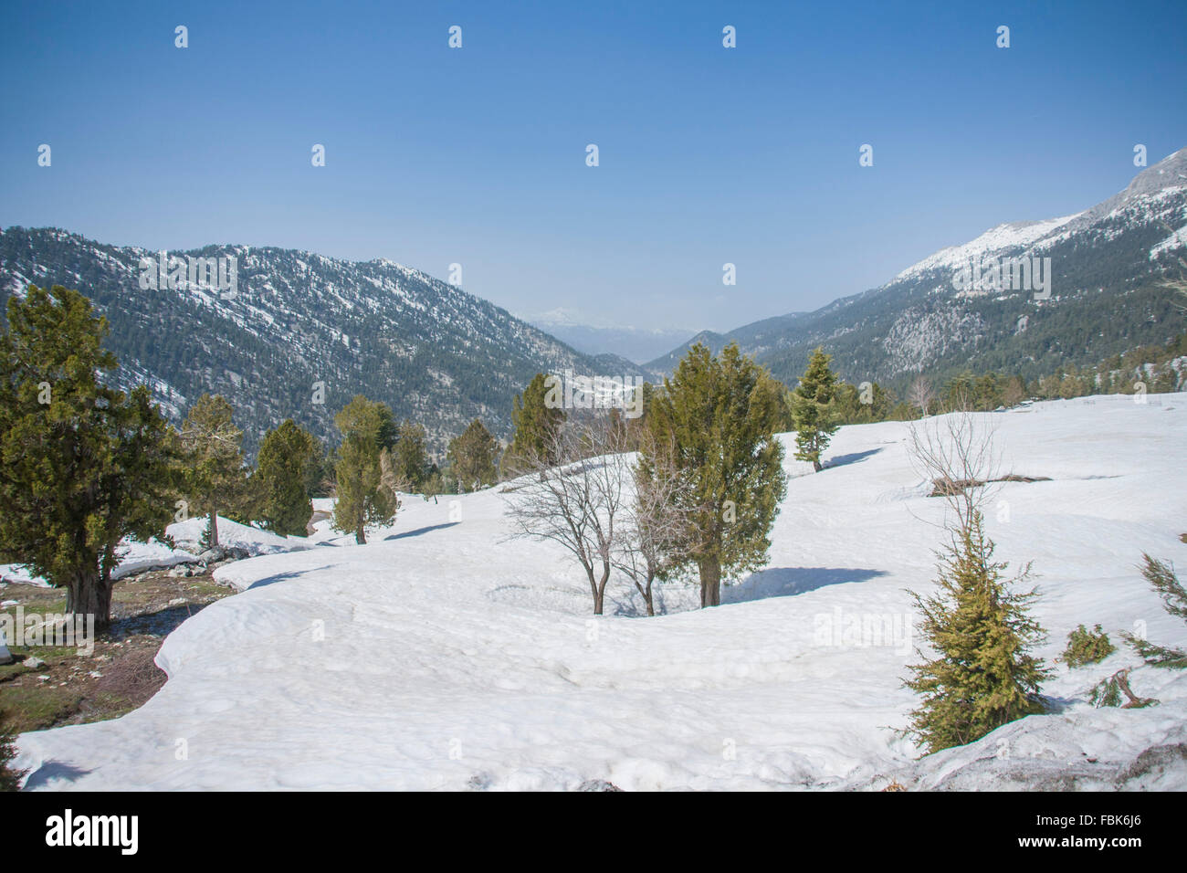 Snowy valley mountains Mountains and forest. Anatolia, Turkey Snow ...
