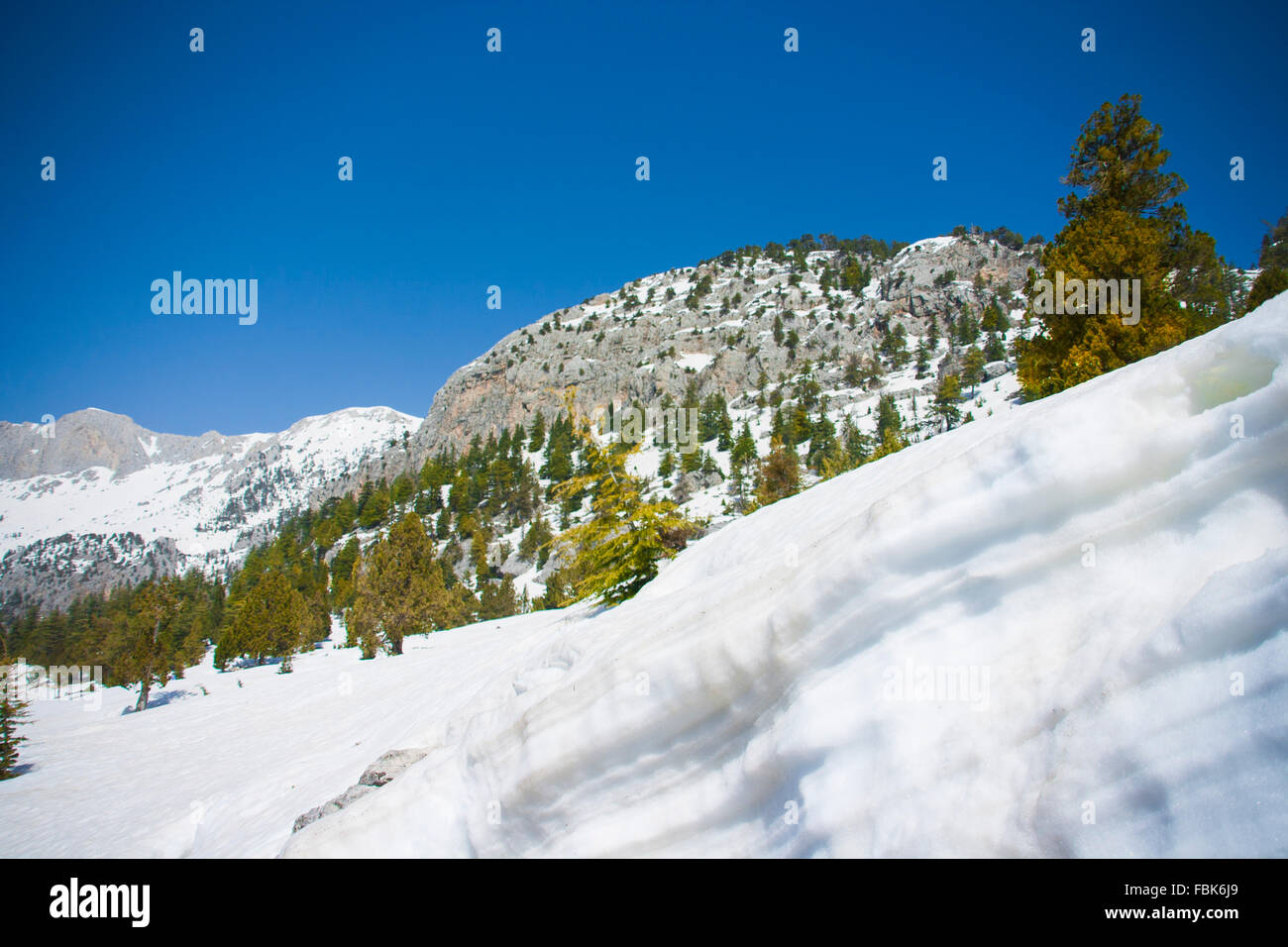 Snowy valley mountains Mountains and forest. Anatolia, Turkey Snow ...