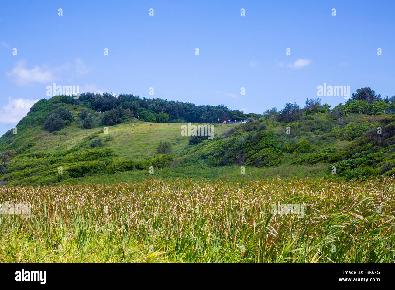 looking up at the Pat Morton lookout at Lennox Head in northern New ...