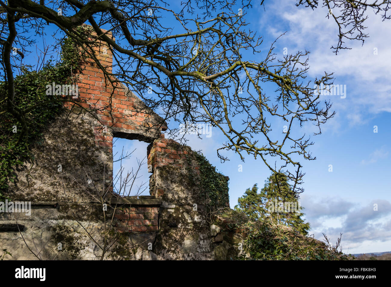 Irish historic cottage hi-res stock photography and images - Alamy
