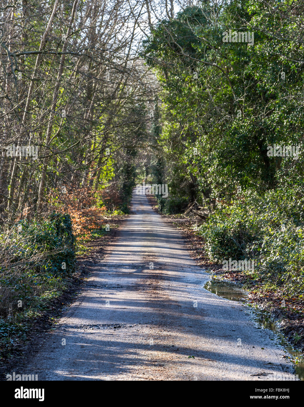 A small road leads through the countryside in County Down, N.Ireland ...