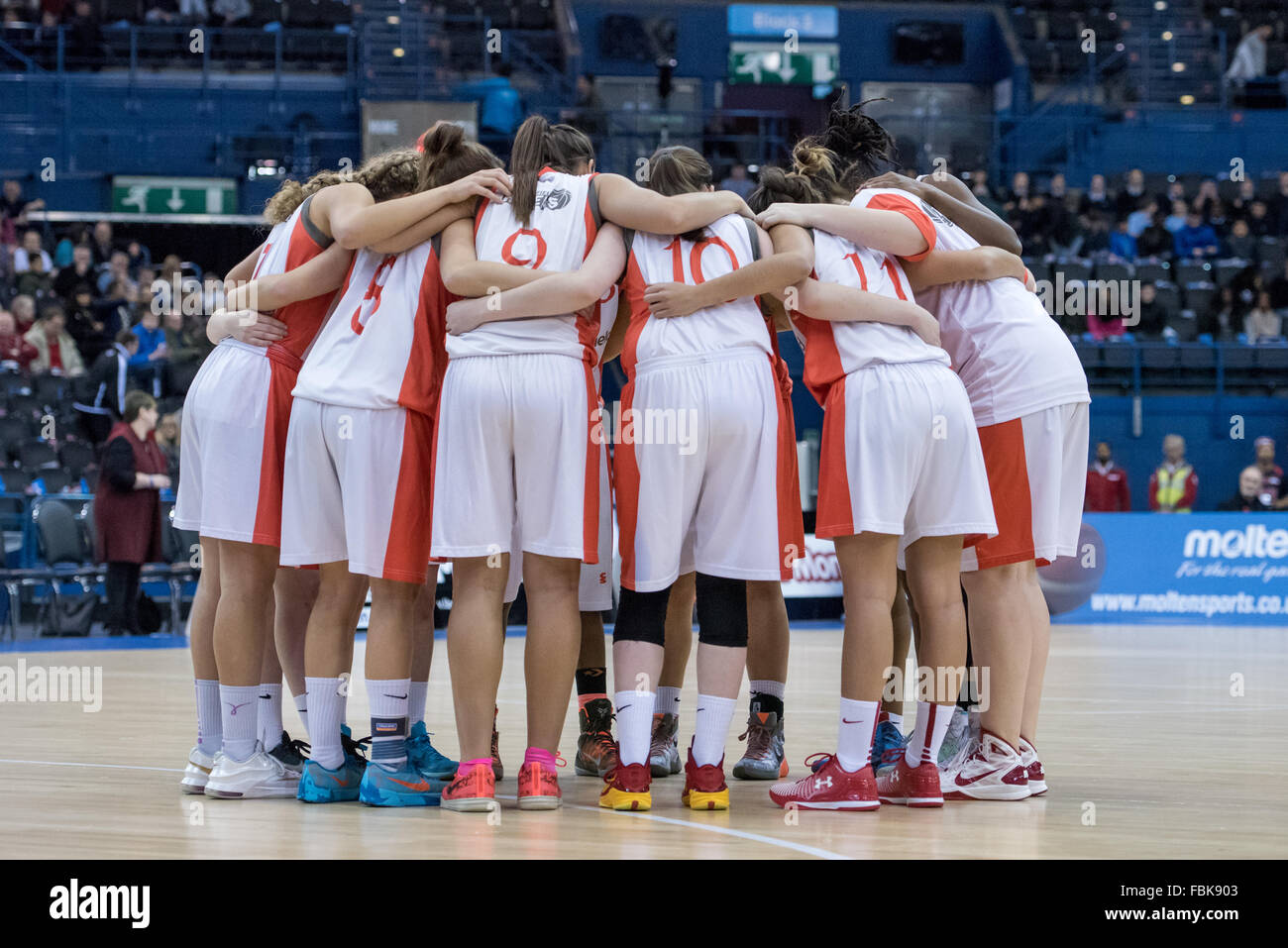 Birmingham, UK, 17 January 2016. Westfield Health Sheffield Hatters ...