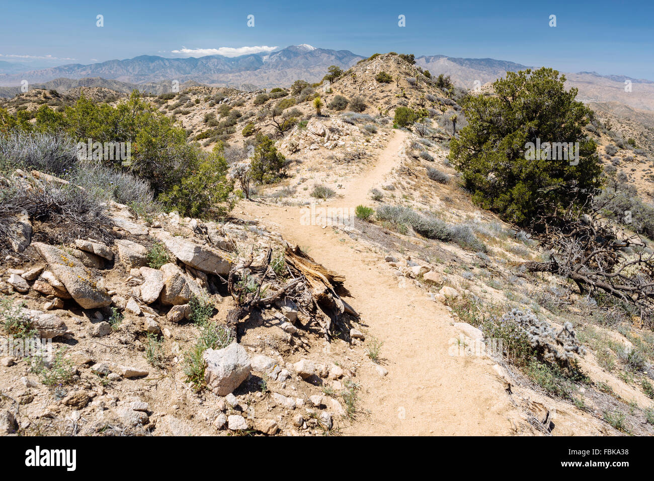 The Panorama Loop trail in Joshua Tree National Park Stock Photo - Alamy