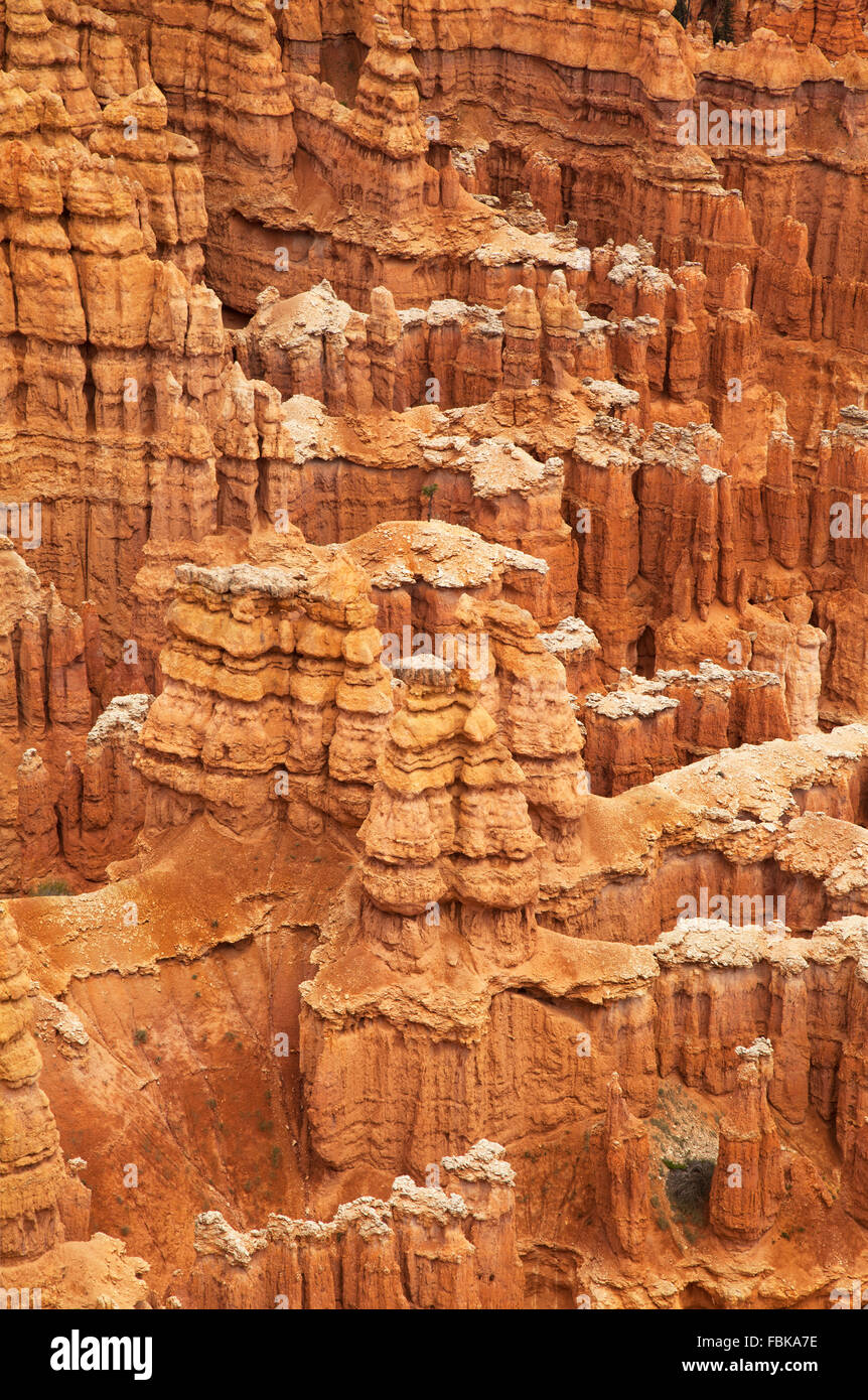 Close up of the hoodoos of Bryce Canyon, Utah Stock Photo - Alamy