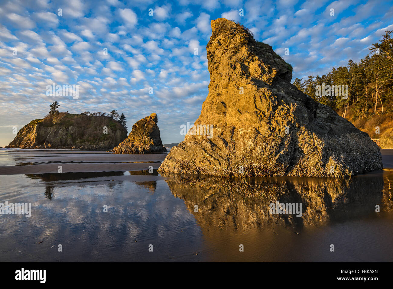 Ruby Beach in Olympic National Park located in Washington State Stock ...