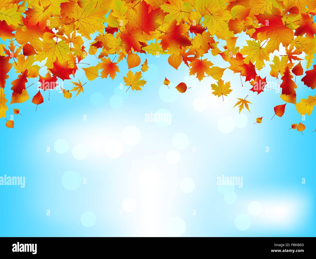 Fall color leaves blue sky Stock Vector Images - Alamy