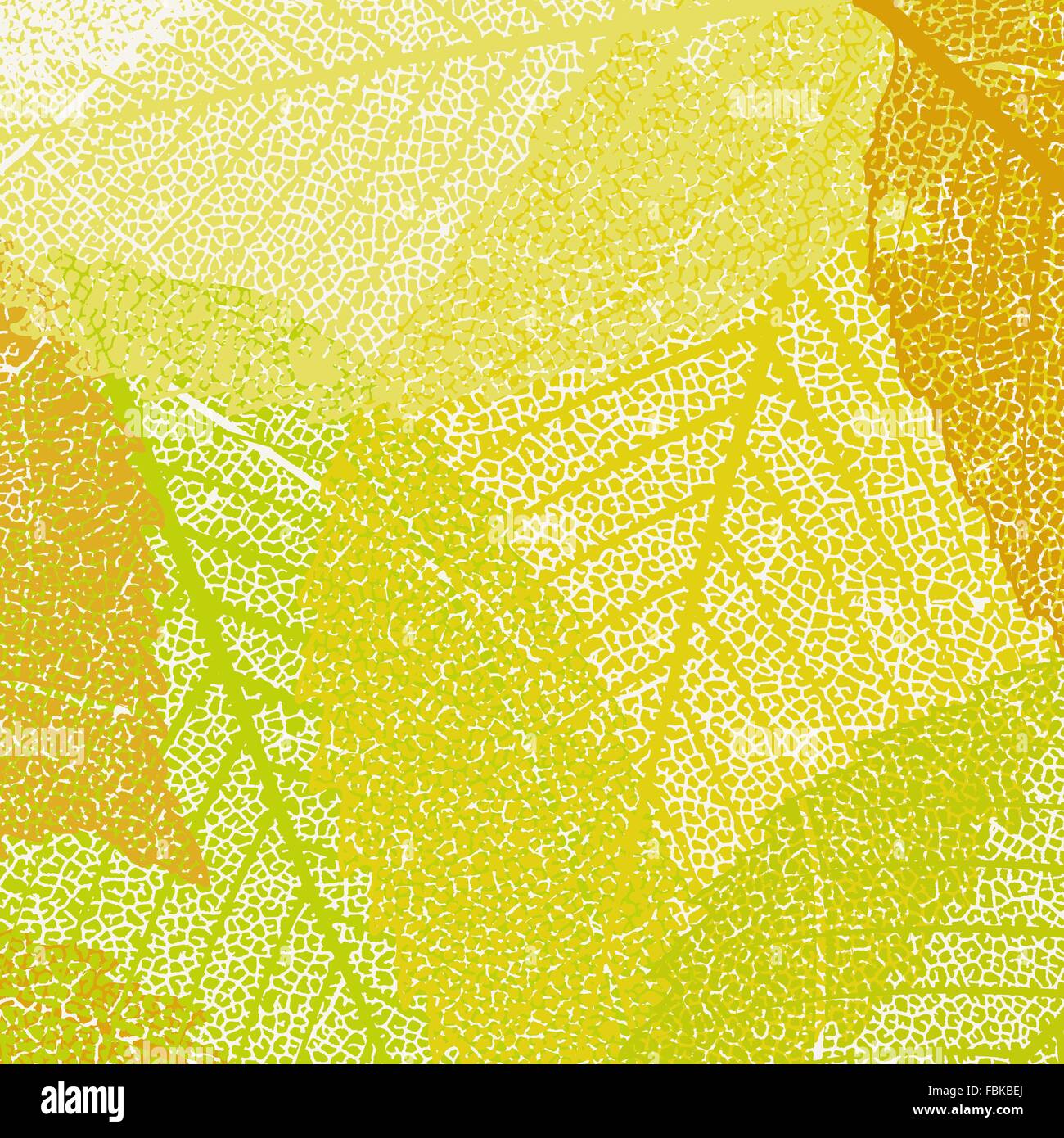 Pattern of autumn maples leaves. EPS 8 Stock Vector Image & Art - Alamy