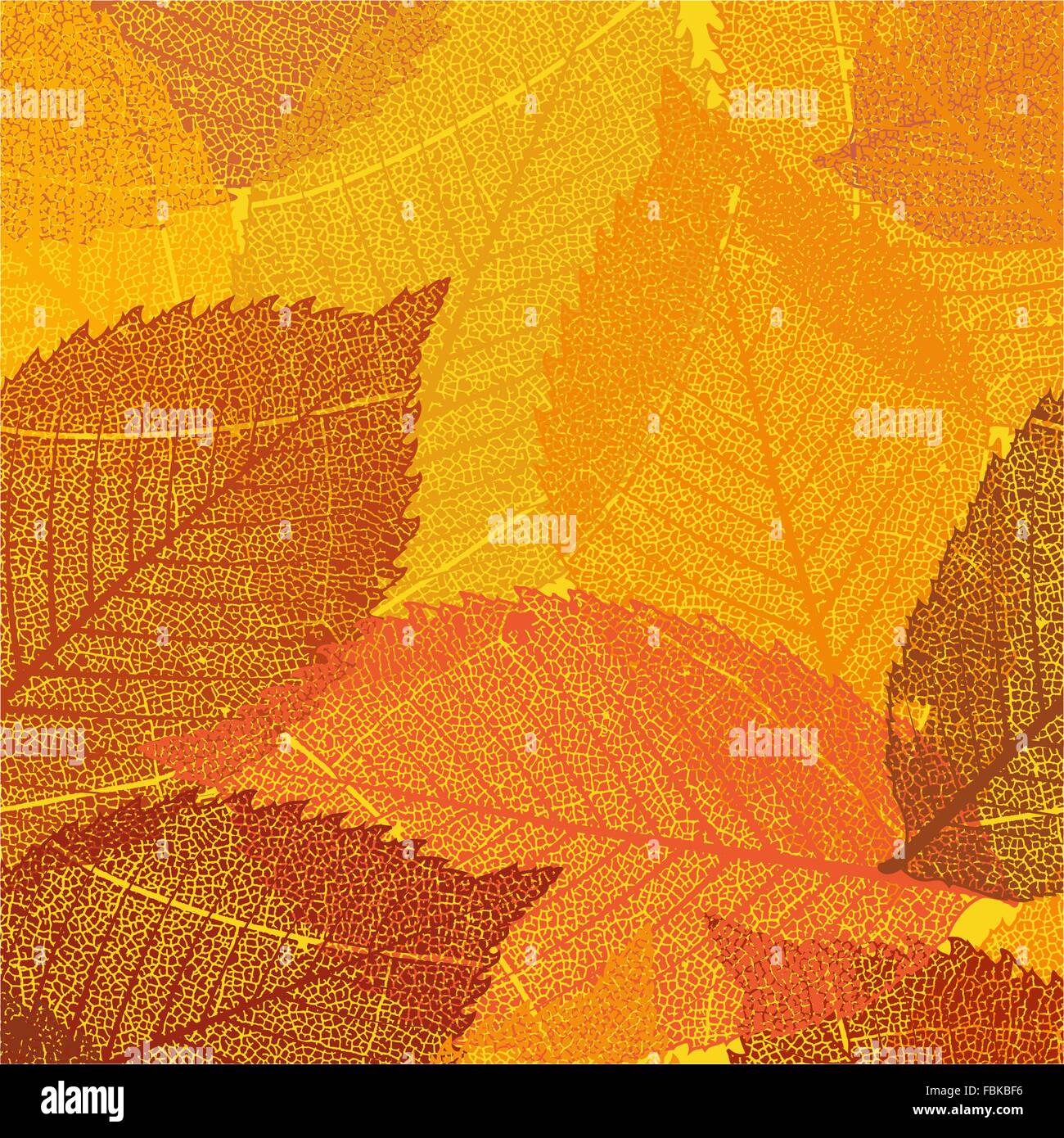 Dry autumn leaves template. EPS 8 Stock Vector Image & Art - Alamy