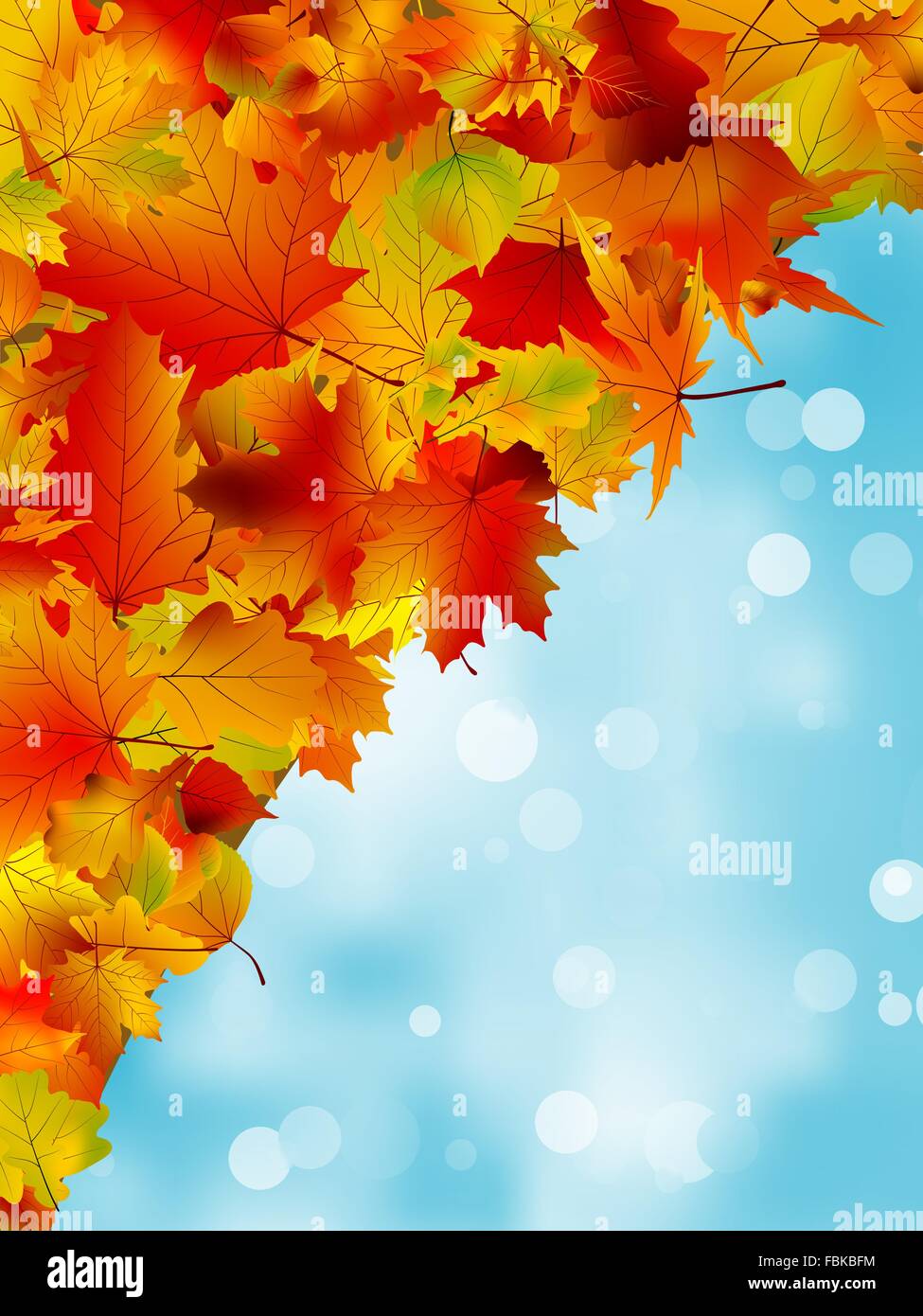 Fall color leaves blue sky Stock Vector Images - Alamy