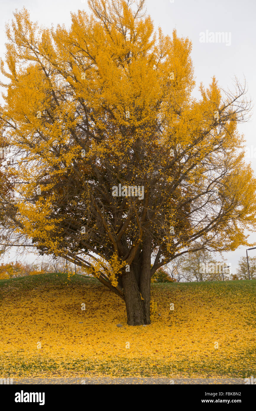 West point ny hi-res stock photography and images - Alamy