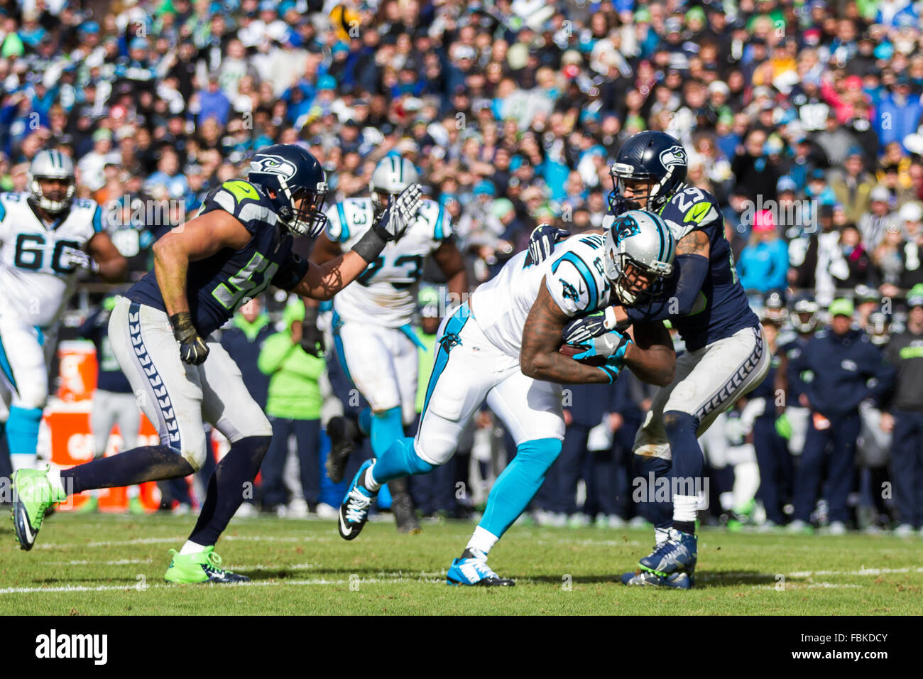 Charlotte, North Carolina, USA. 17th Jan, 2016. Carolina Panthers tight ...