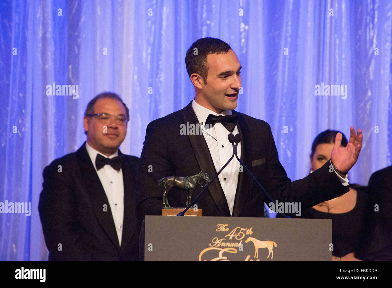 American eclipse horse hi-res stock photography and images - Alamy