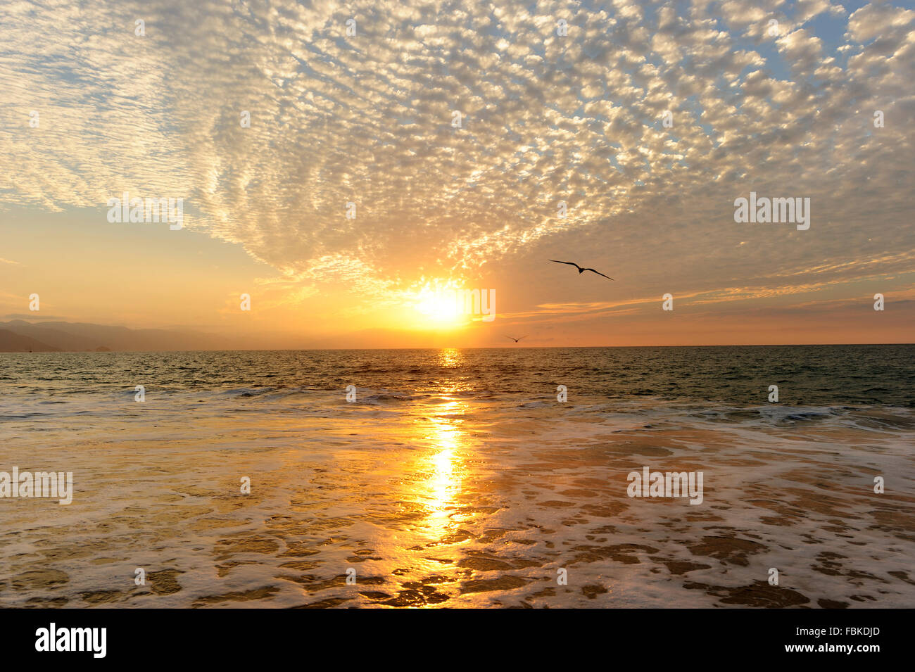 Ocean sunset is a vibrant detailed sunset with two birds flying ...