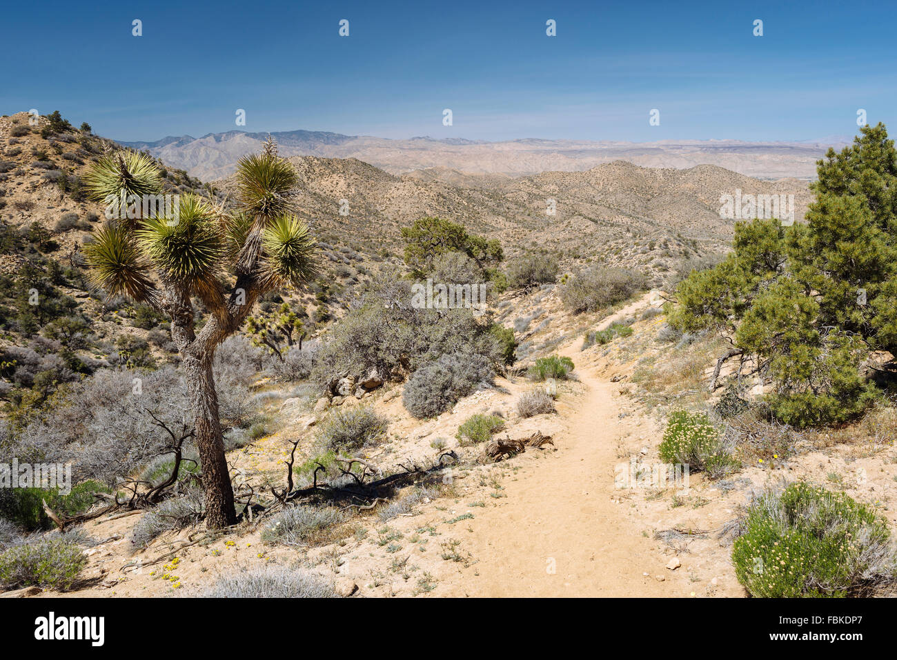 Panorama loop joshua tree hi-res stock photography and images - Alamy