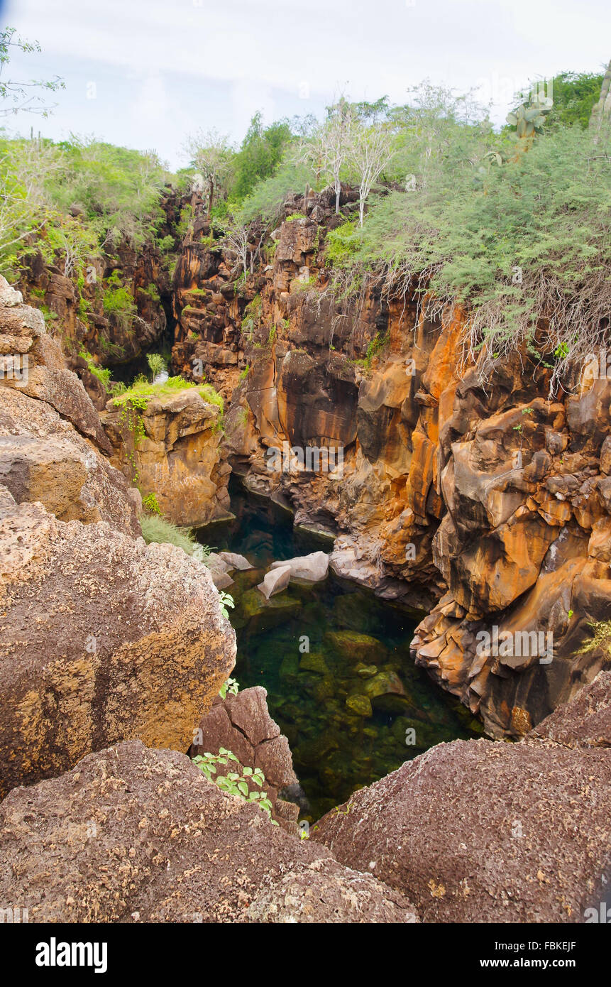 Human ponds hi-res stock photography and images - Alamy