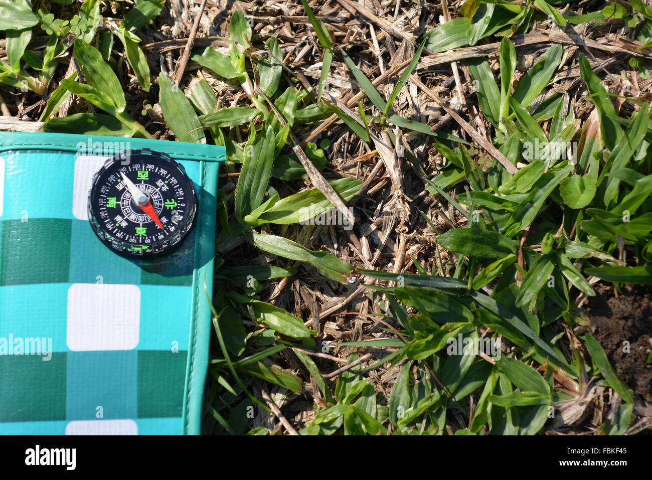 compass, directions, drive, driving, highways, lost, map, maps ...