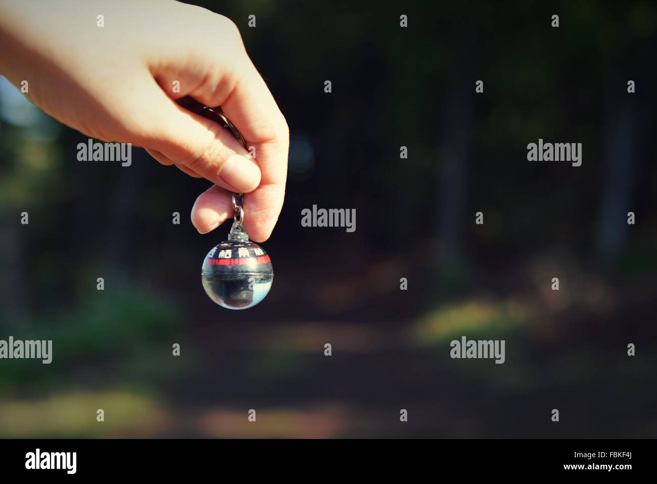 compass, directions, drive, driving, highways, lost, map, maps ...