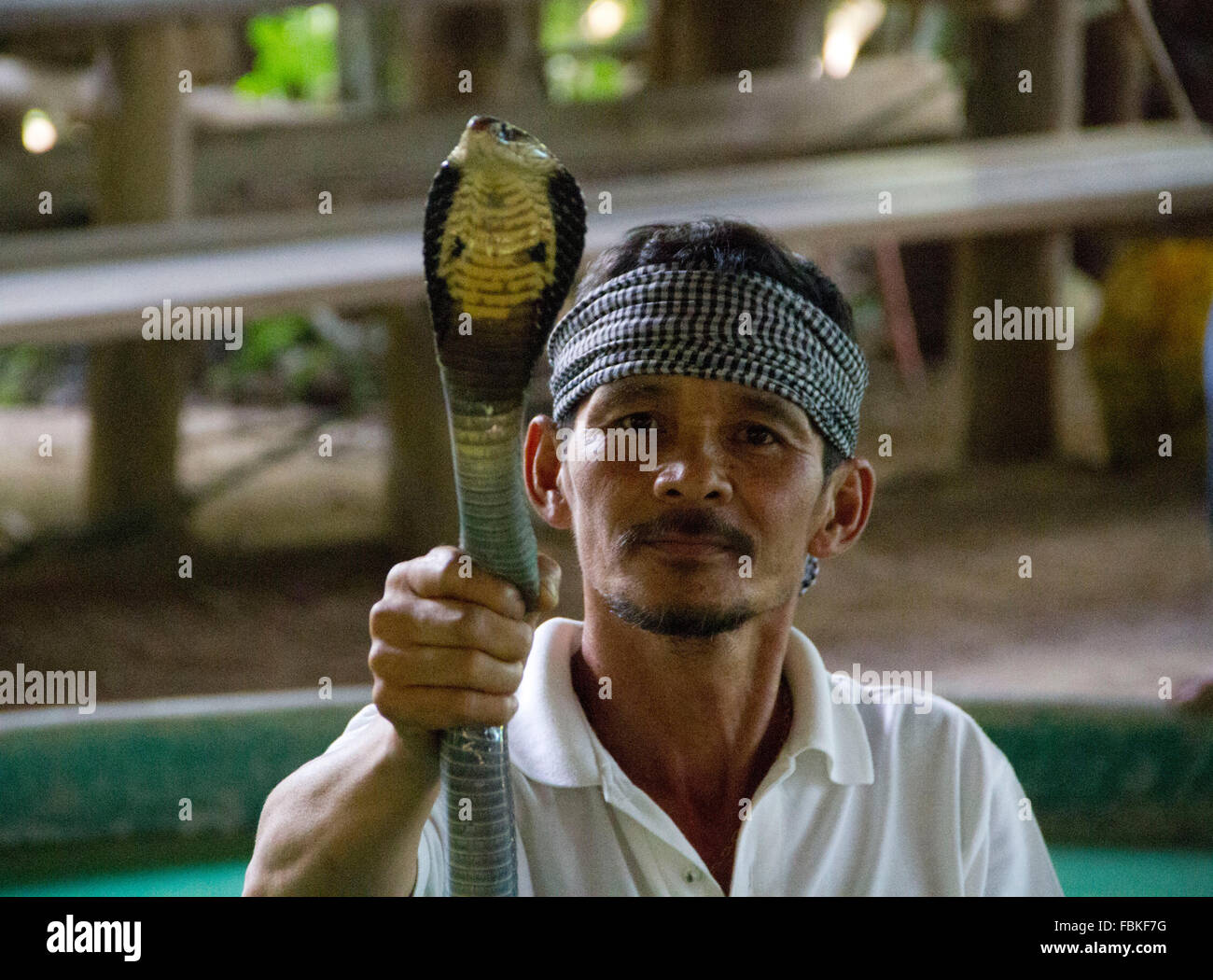 Snake handlers perform during a snake show at the Mae SA Snakes Farm in ...