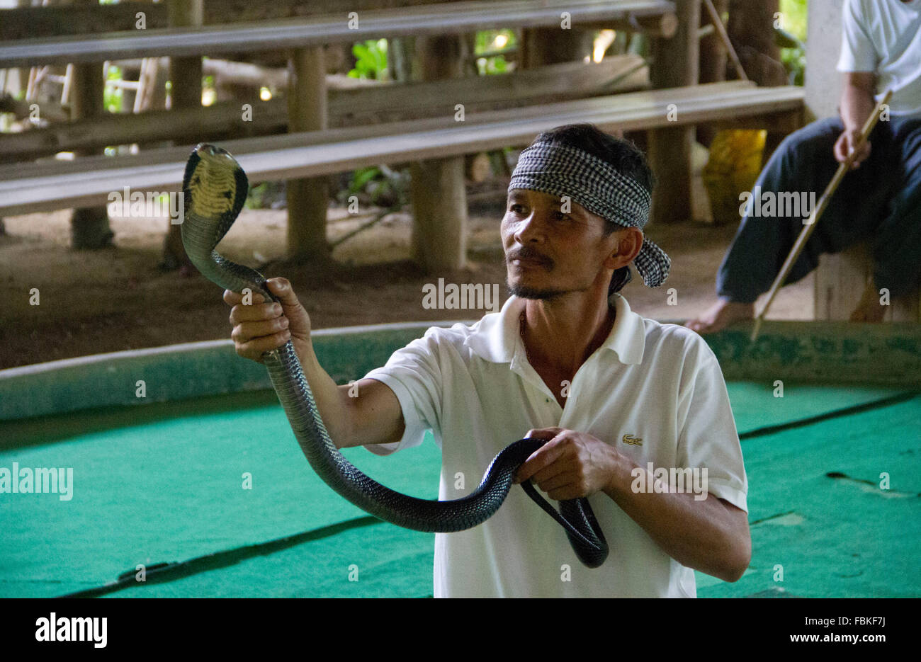 Snake handlers perform during a snake show at the Mae SA Snakes Farm in Maerim, Chiang Mai Stock ...