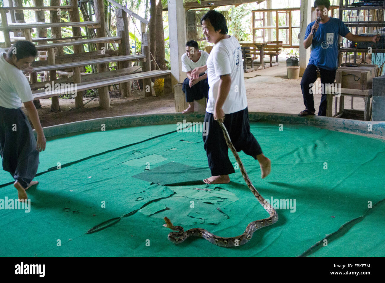 Snake handlers perform during a snake show at the Mae SA Snakes Farm in ...