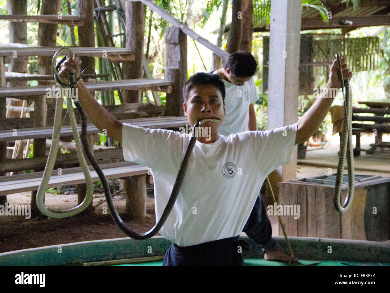 Snake handlers hi-res stock photography and images - Alamy