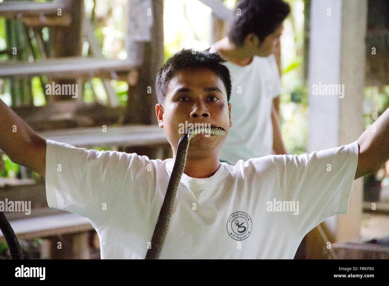 Snake handlers perform with a snake in his mouth during a snake show at ...