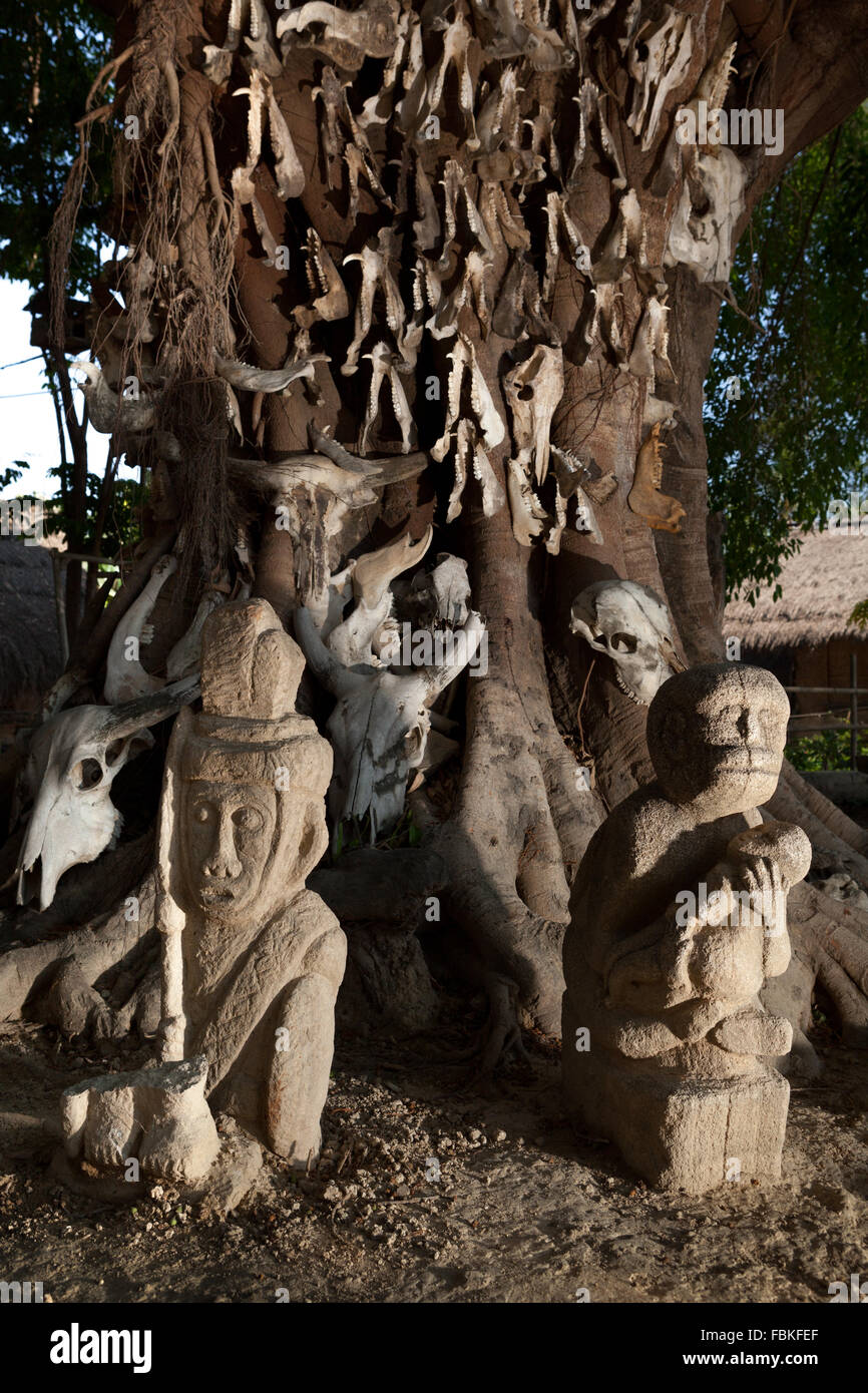 Megalithic sculptures below a tree in traditional village of Prailiu in ...