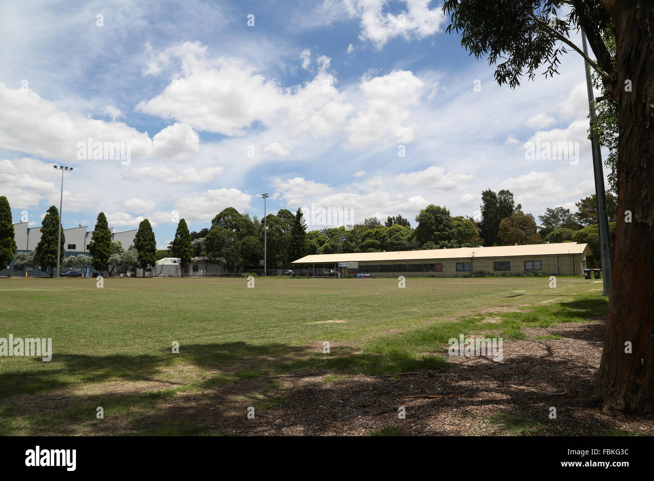 Blackmore Park in Leichhardt in Sydney’s inner west Stock Photo - Alamy