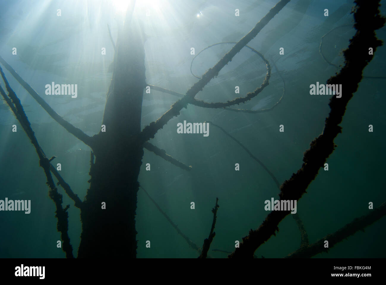 Underwater scenery hi-res stock photography and images - Alamy