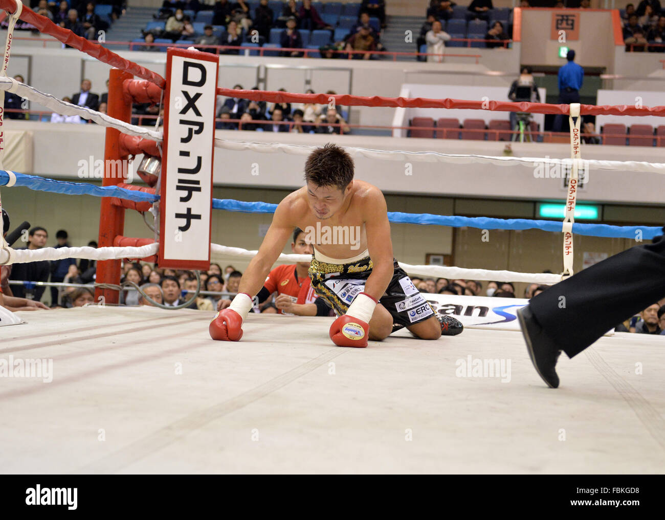 Hyogo, Japan. 11th Dec, 2015. Hozumi Hasegawa (JPN) Boxing : Hozumi Hasegawa of Japan stands up ...