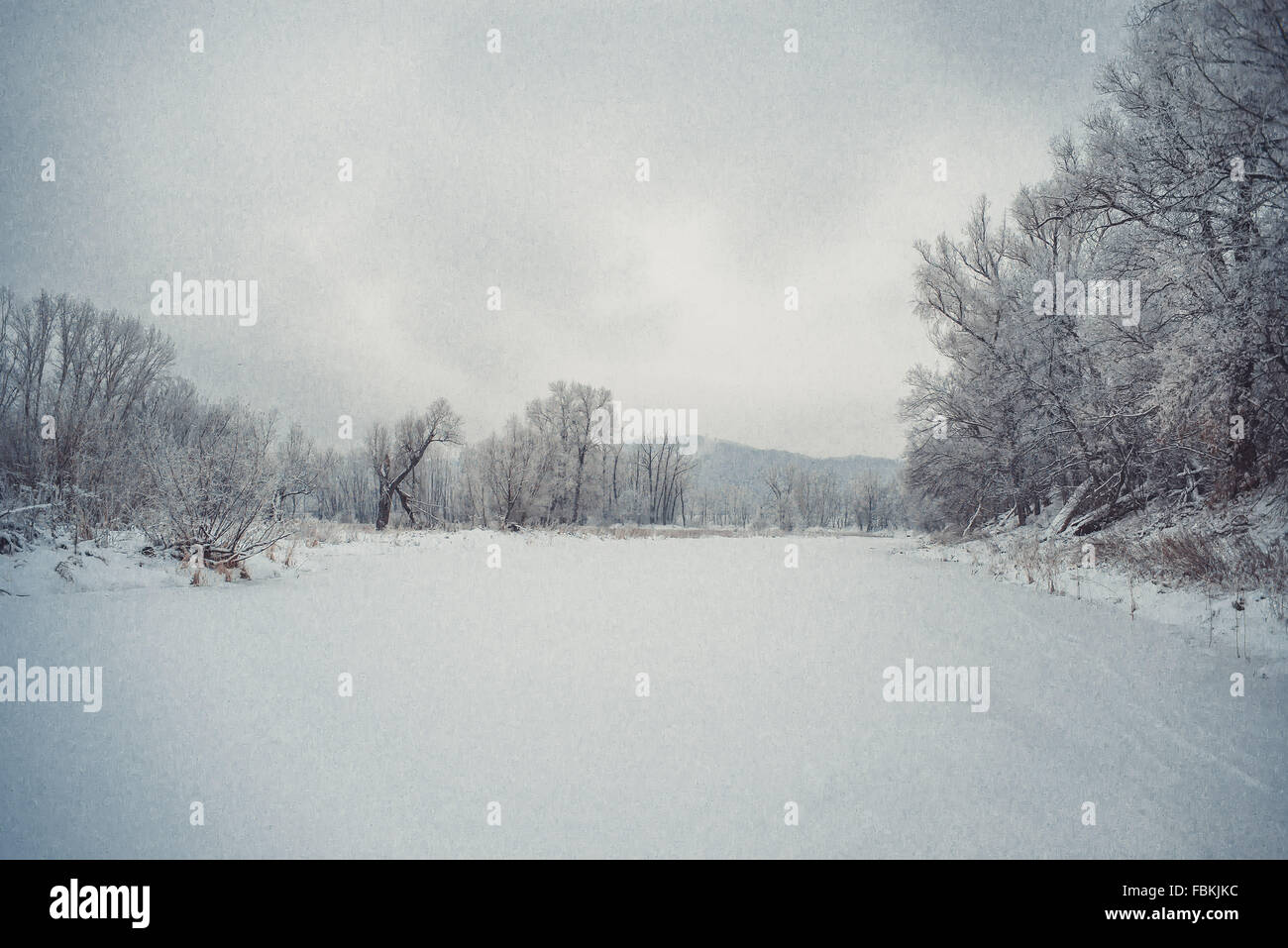 Winter forest and lake. Snow covered trees and frozen water Stock Photo ...