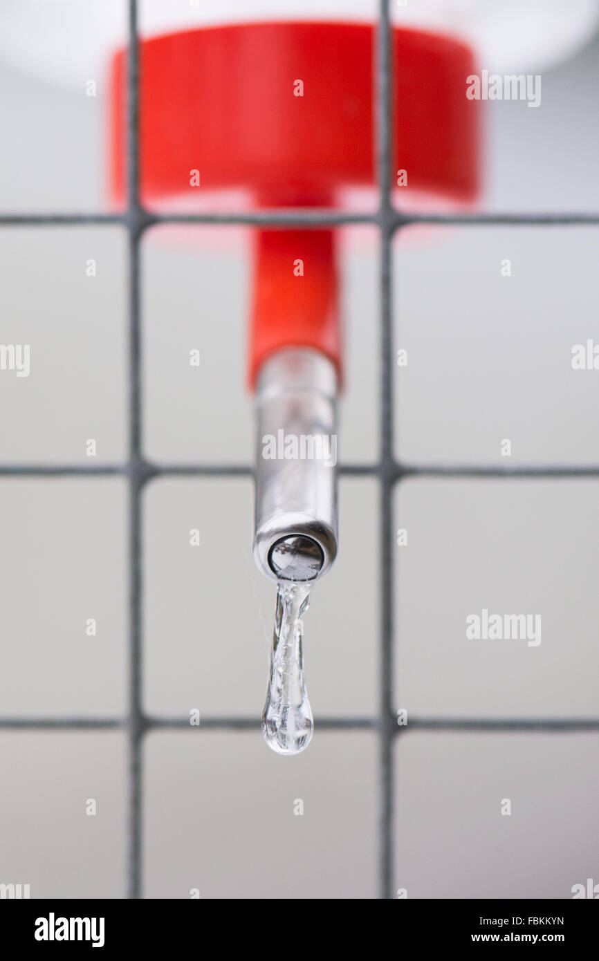 Rabbit hutch cold hi-res stock photography and images - Alamy