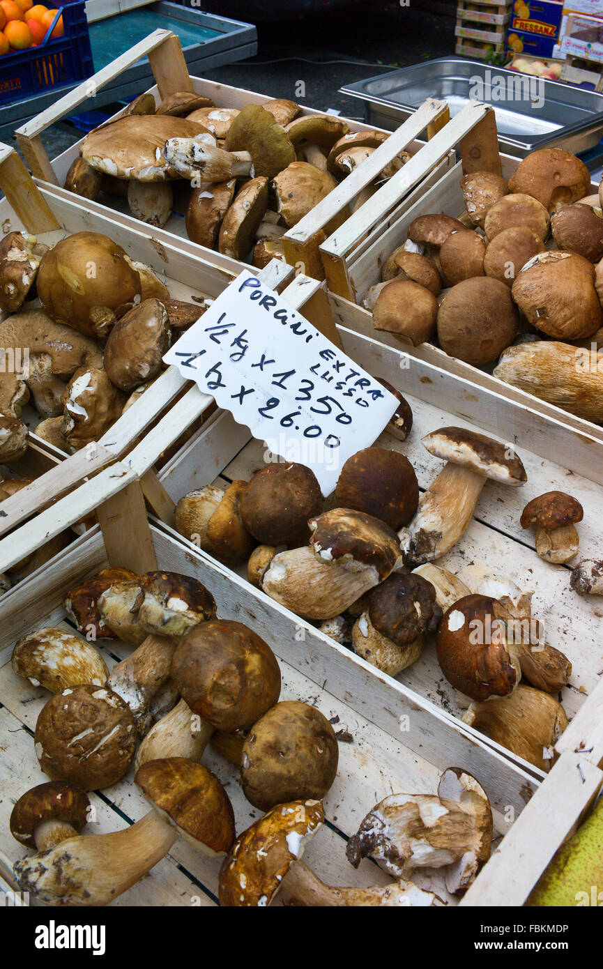 Porcini Italy High Resolution Stock Photography and Images - Alamy