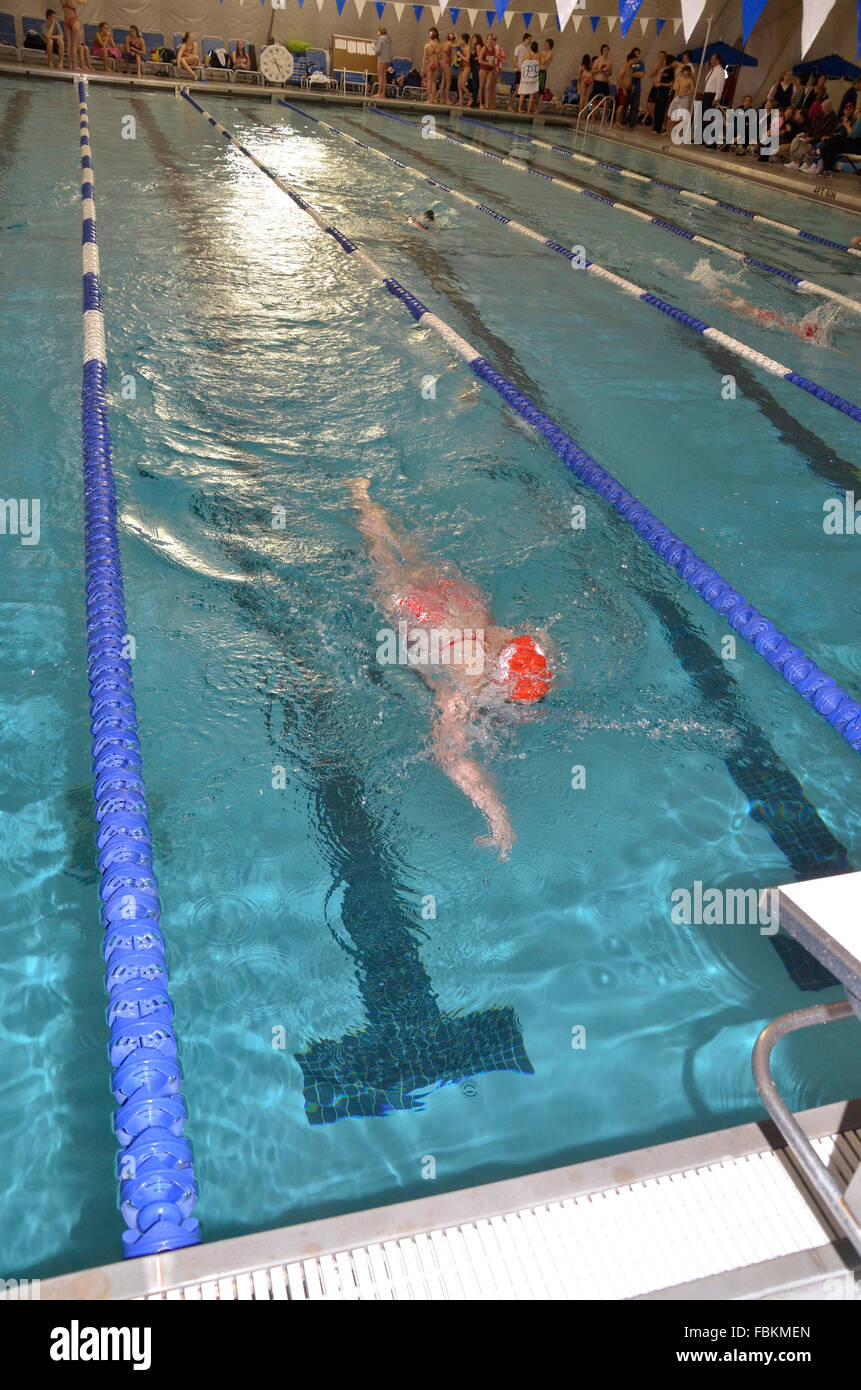 Swimmer pratices for a swim meet Stock Photo - Alamy