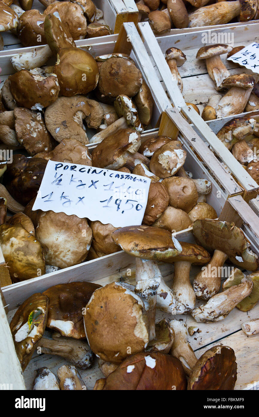 Porcini Italy High Resolution Stock Photography and Images - Alamy