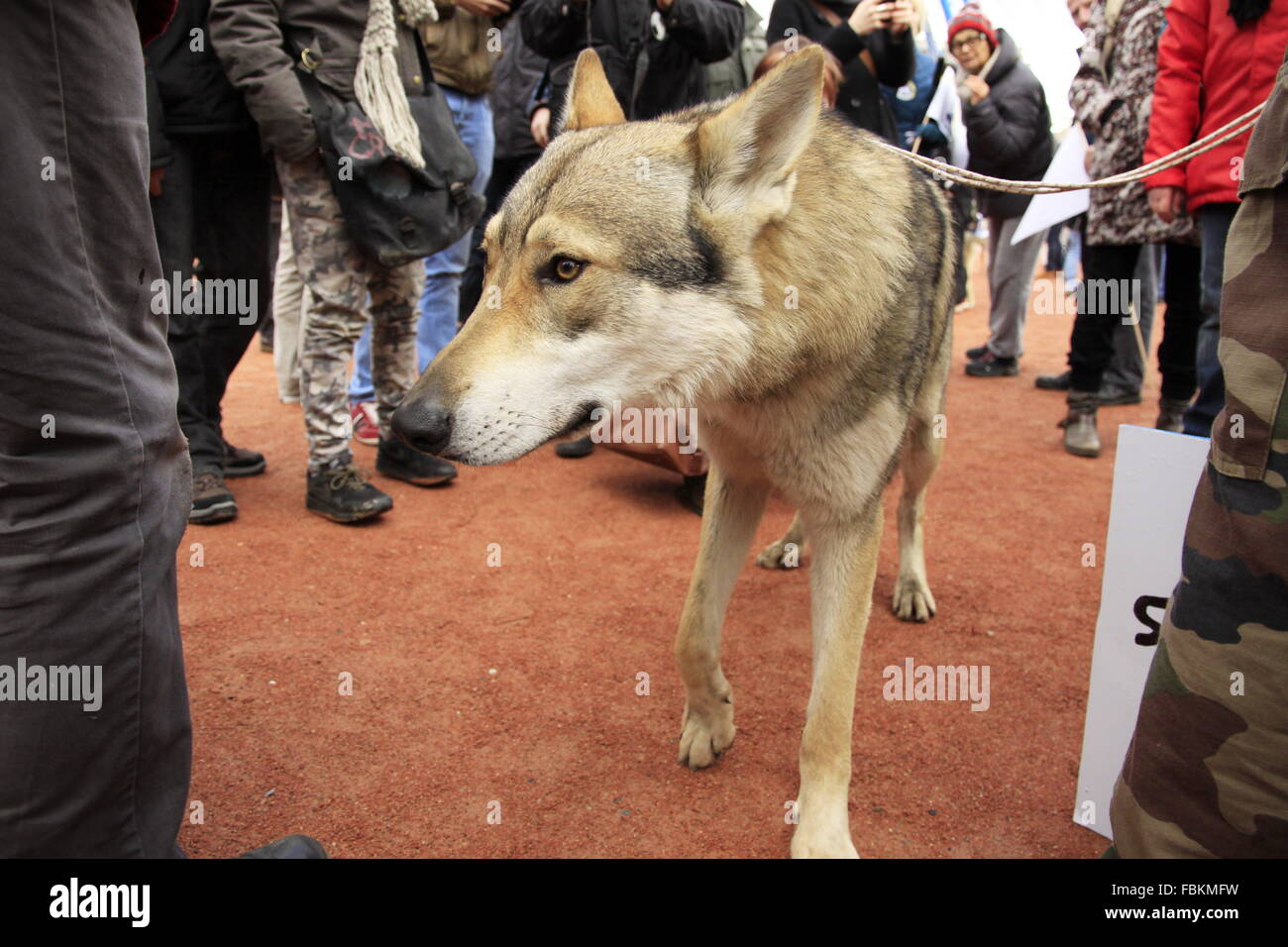 Demonstration on Place Bellecour with environmental groups and nature ...
