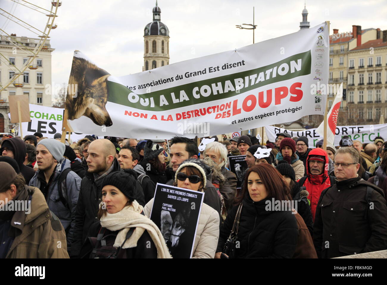 Demonstration wolf hi-res stock photography and images - Alamy