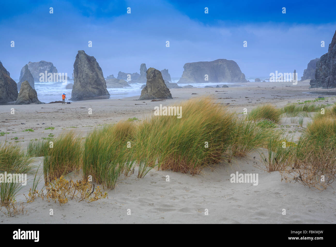bandon, beach, blue, coast, coastline, formations, landscape, nature ...